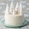25 Winter Themed Cakes for Birthdays | Wilton's Baking Blog | Baking ...